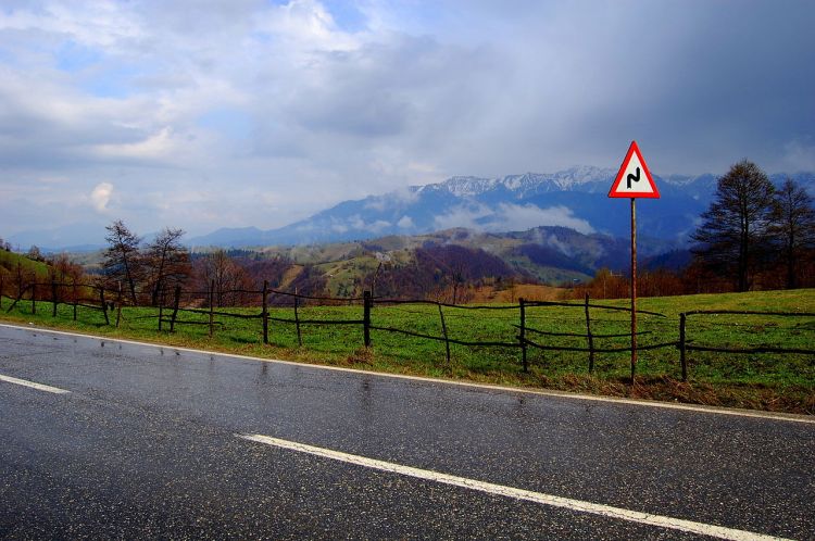 House of the Dragon: The Basarab Princes of Wallachia and the Legend of ...