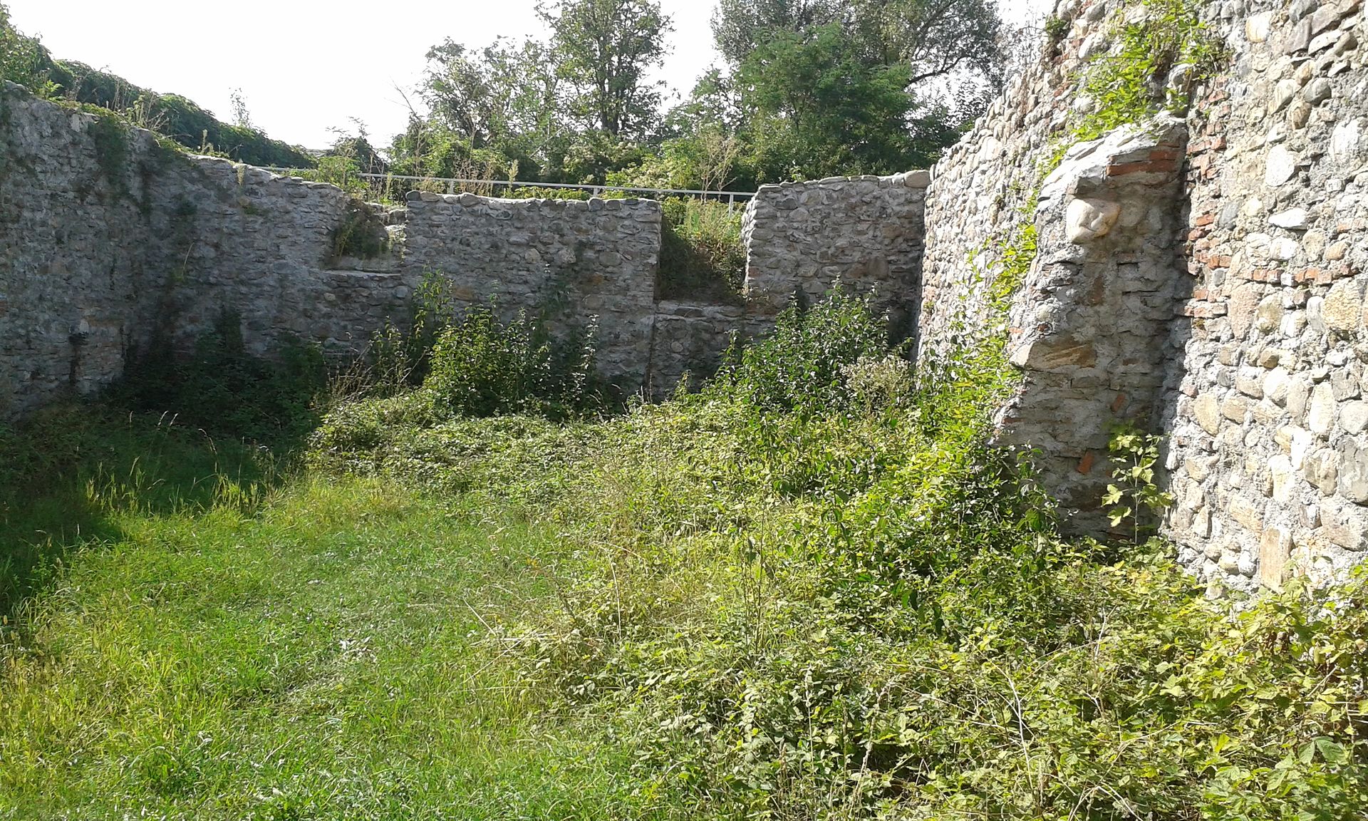 House of the Dragon: The Basarab Princes of Wallachia and the Legend of ...