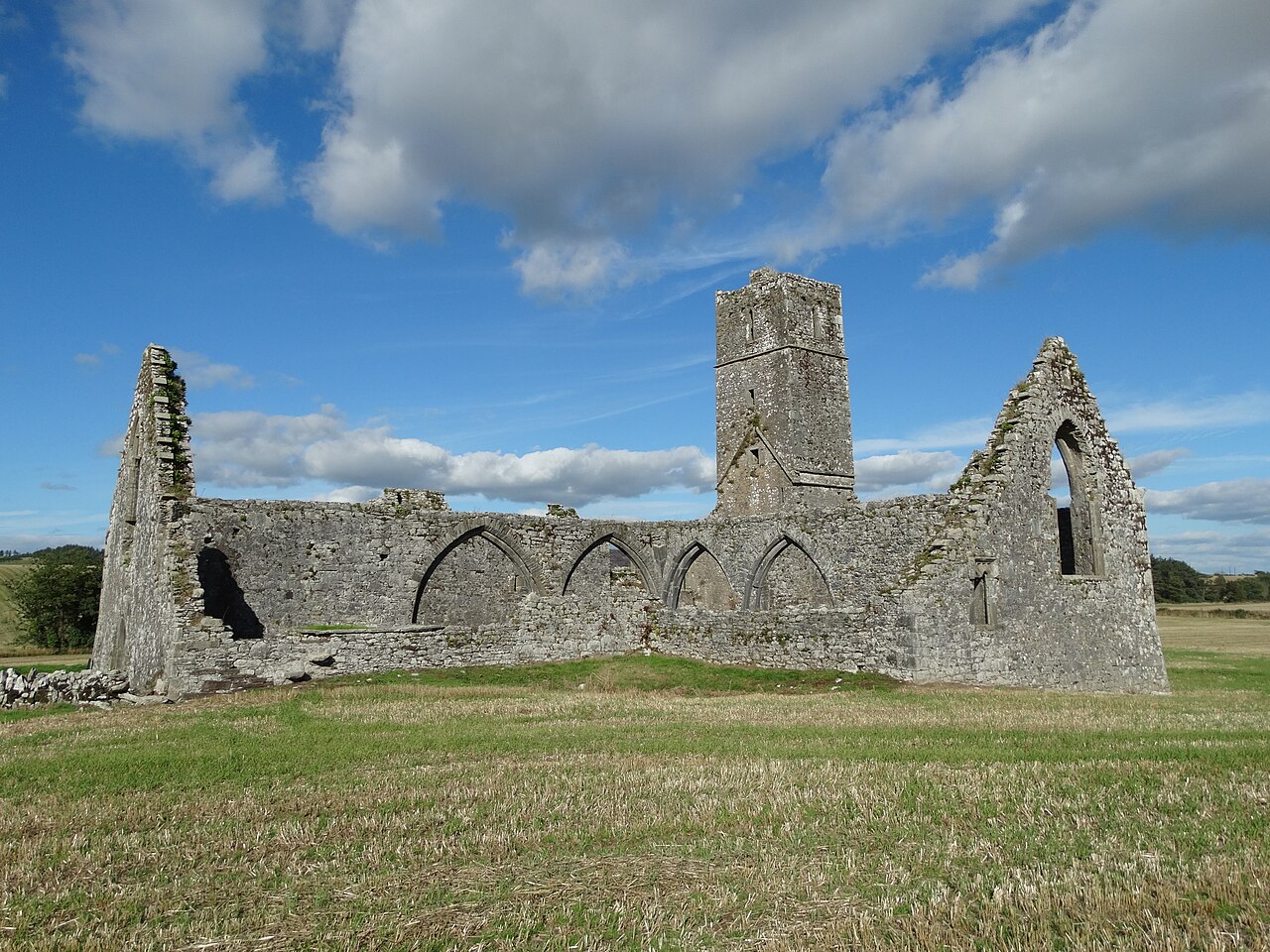 The MacCarthys—Irish kings to princes … to dukes? – Dukes and Princes